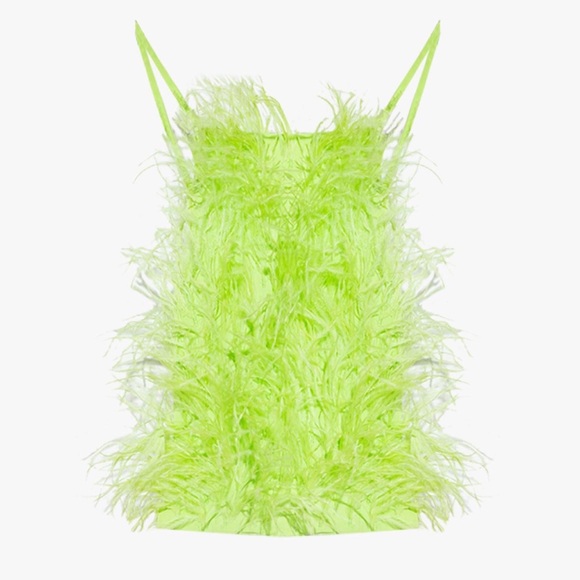 cult gaia | Tops | Cult Gaia Ostrich Feather Neon Lime Green Top | Poshmark